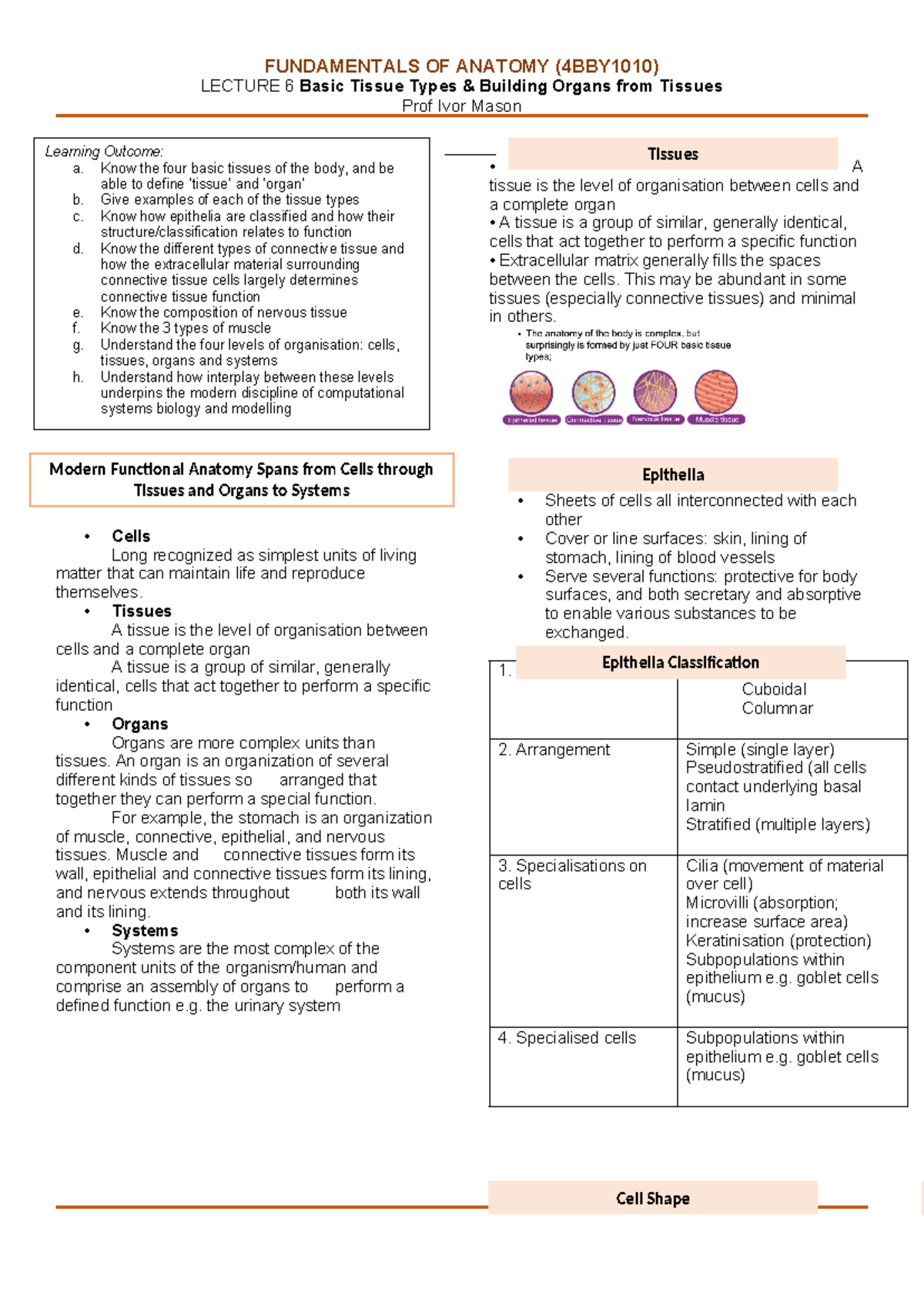 L6 Basic Tissue Types - • Tissues A tissue is the level of organisation between cells and a ...
