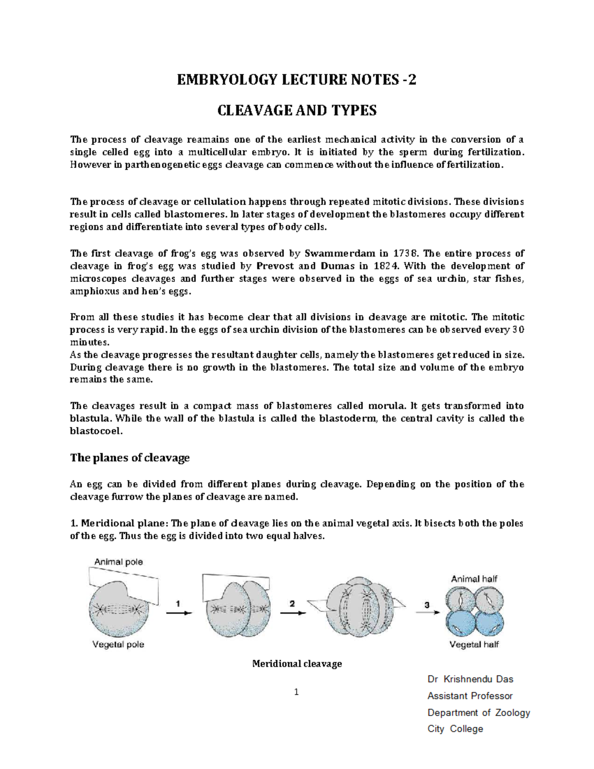 Pattern of Cleavage - Egct - EMBRYOLOGY LECTURE NOTES - CLEAVAGE AND ...