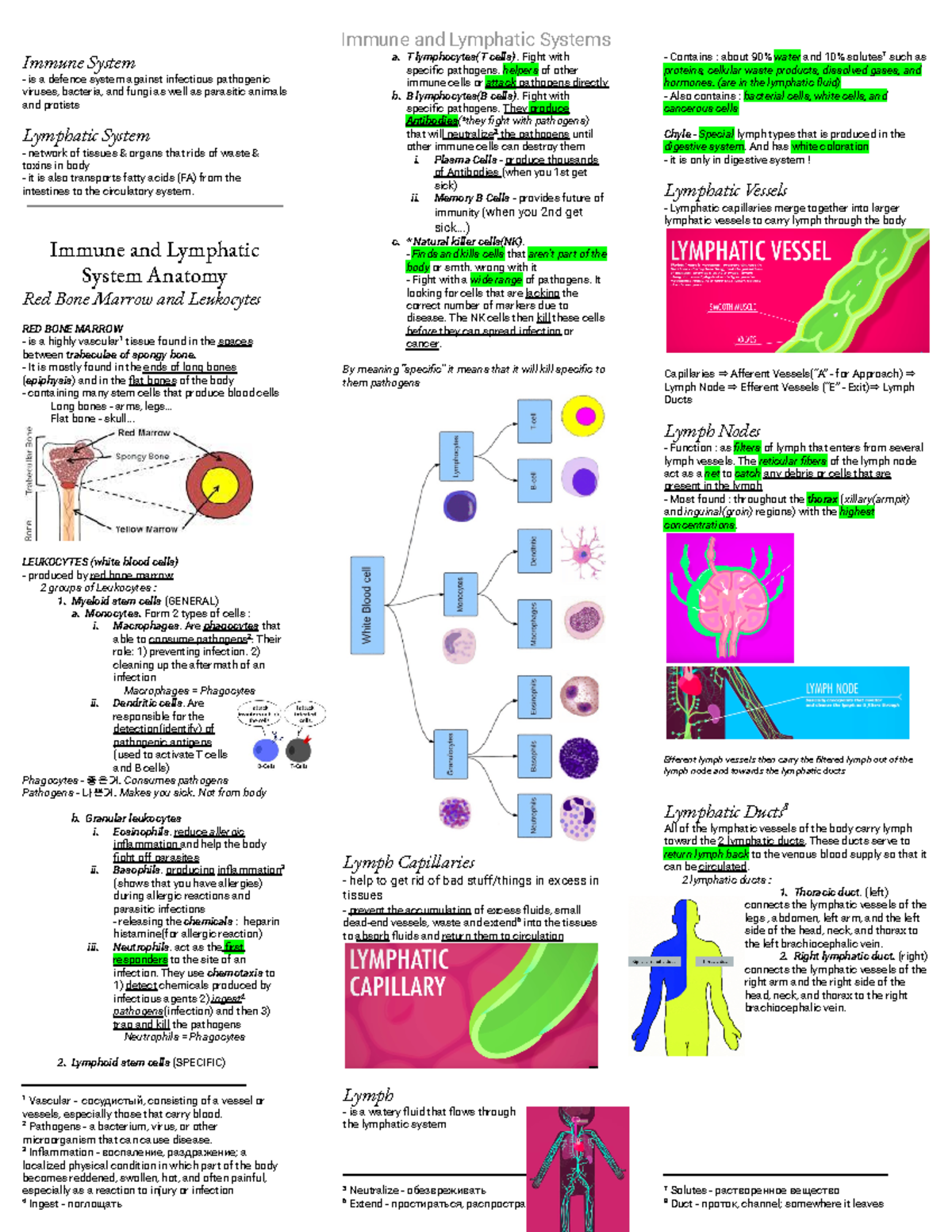 NAT280 - Immune and Lymphatic Systems - Immune System is a defence ...