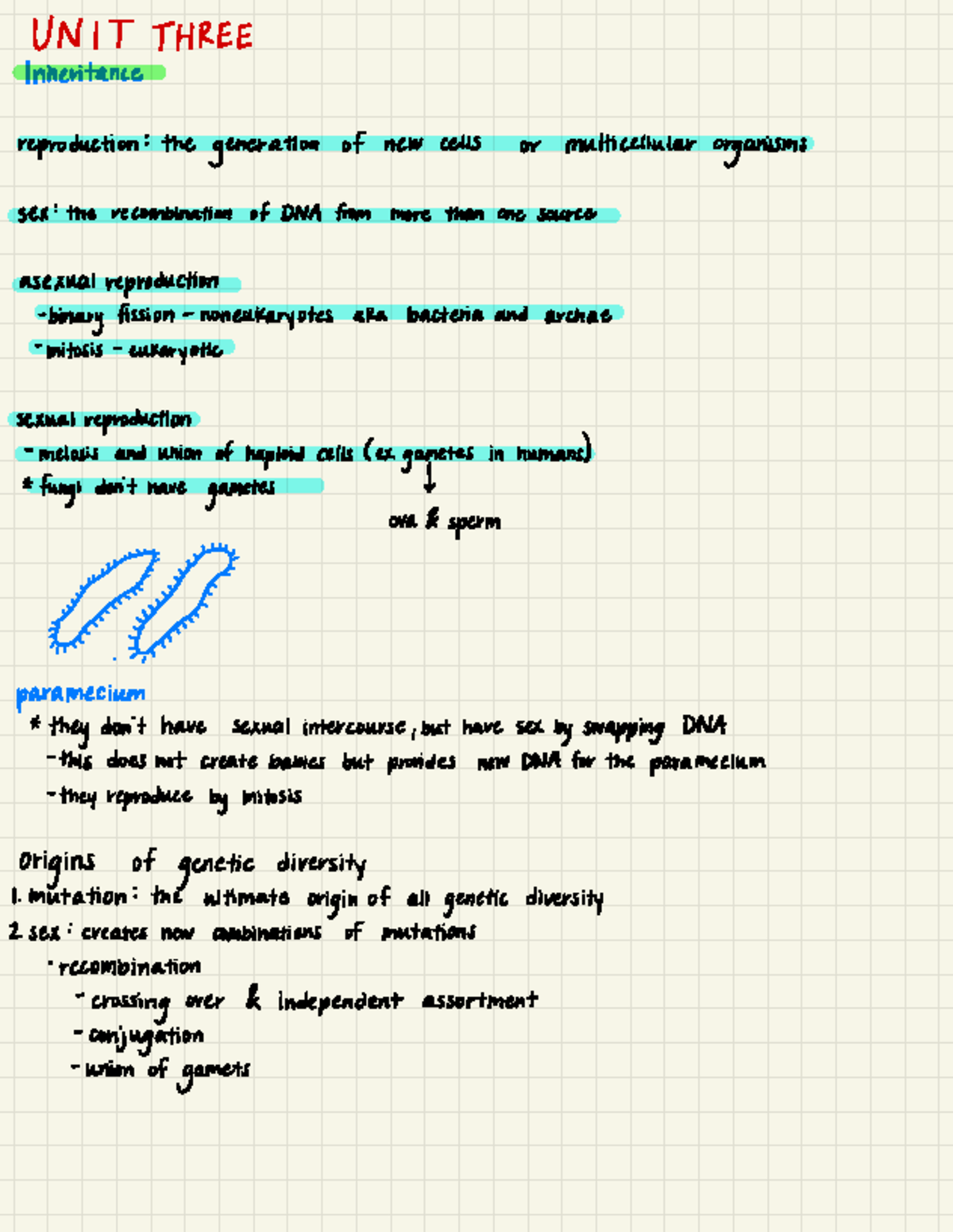 Genetics Unit 3 - UÑ IT THREE Inheritance reproduction : the generation ...