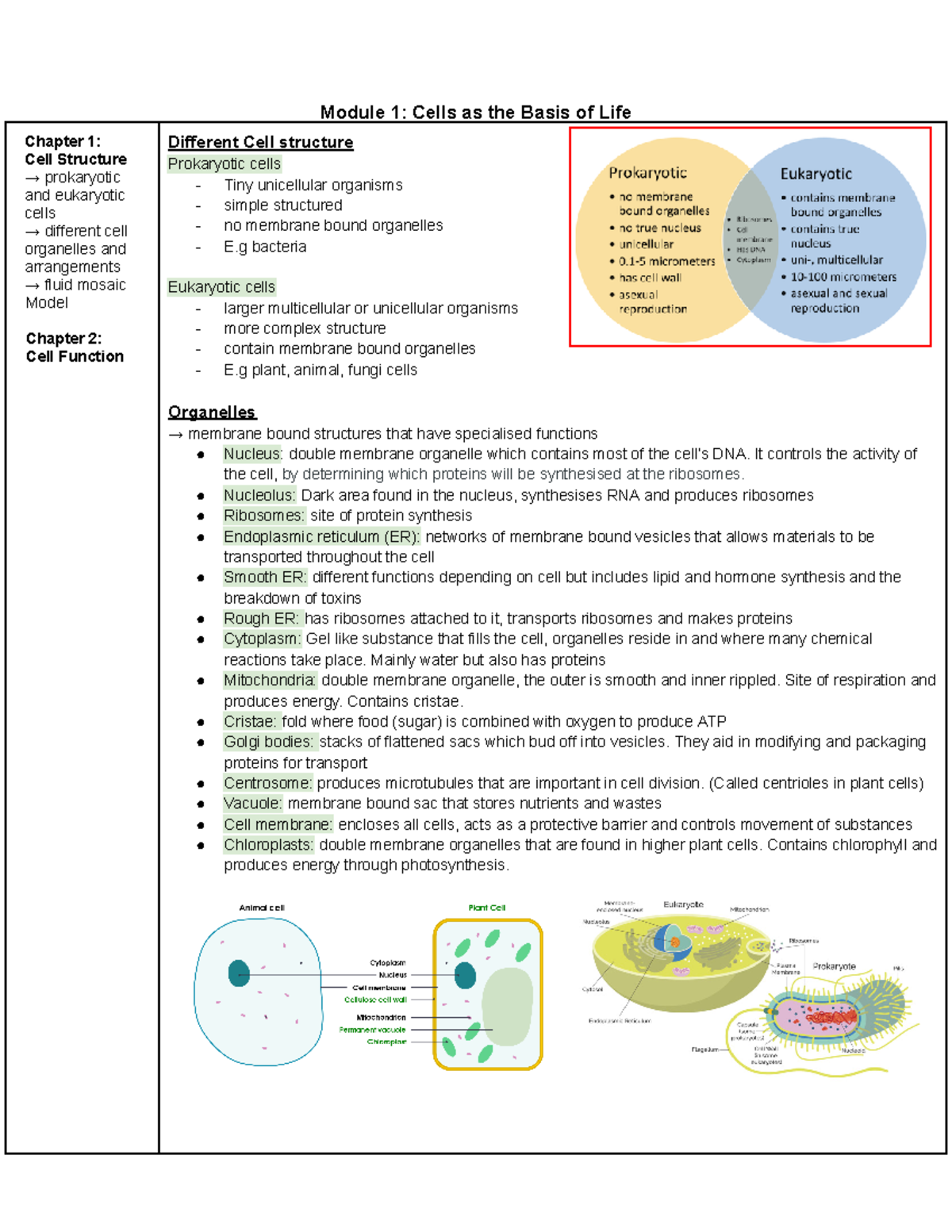 11 Biology - Module 1: Cells as the Basis of Life Chapter 1: Cell ...