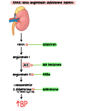 Integumentary System Lab Worksheet - Integumentary System Lab Worksheet ...