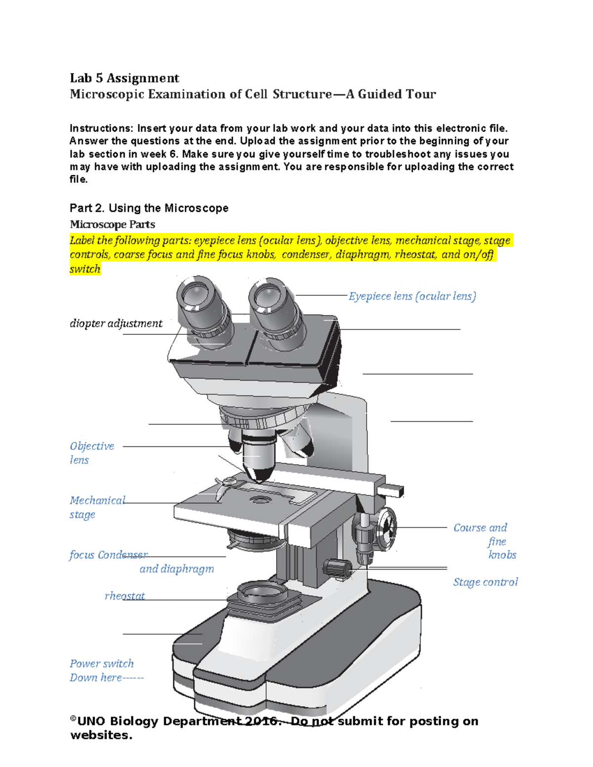 Lab 5 Assignment - Dr. Matt Northam - Lab 5 Assignment Microscopic Examination of Cell Structure ...