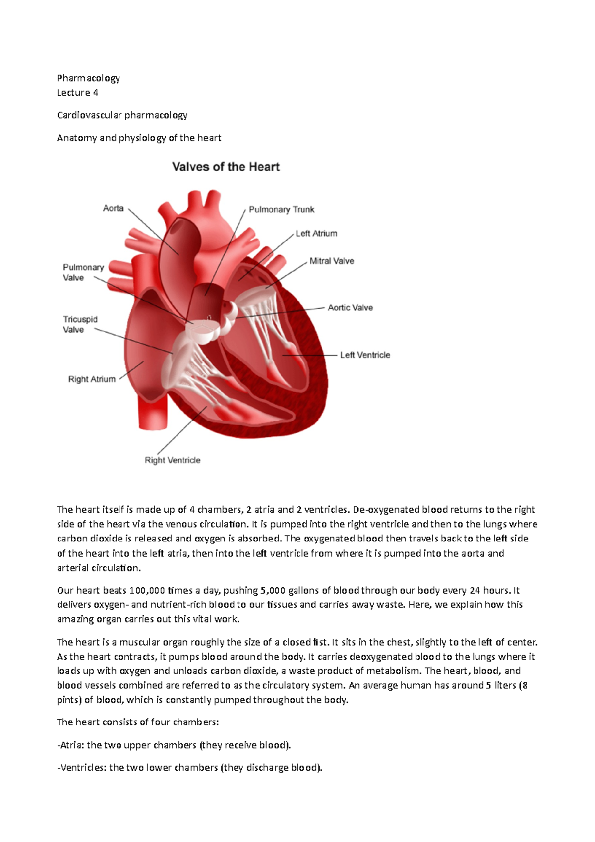 Lecture 4 - Cardiovascular Phamarcology - Pharmacology Lecture 4 ...
