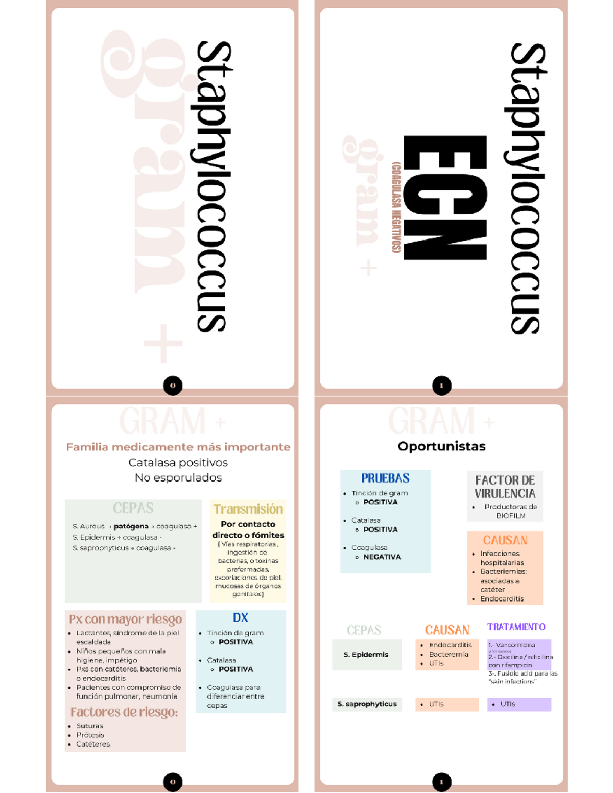 Flashcards micro demo - ............ - Microbiología Y Parasitología ...
