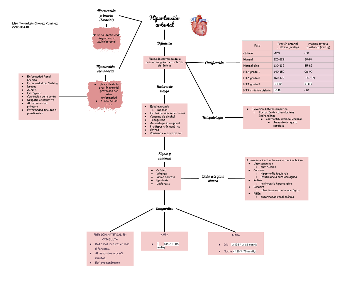 Hipertensión arterial. Mapa conceptual - Hipertensión arterial ...
