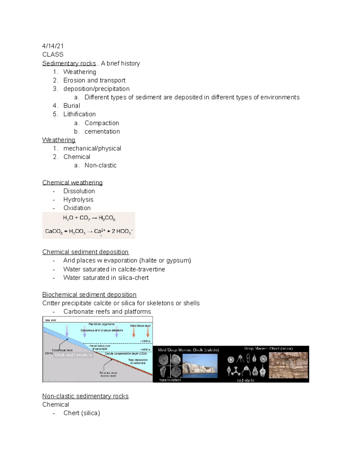 Marine rocks & critters - 4/14/ CLASS Sedimentary rocks.. A brief ...