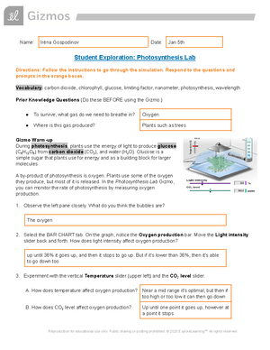 Irèna Gospodinov - Half-life Gizmo - Name: Irèna Date: Student ...