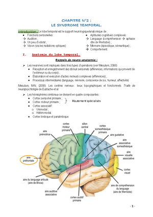 Chapitre n°2 - Le Syndrome Pariétal - CHAIPRE N∞2 : LE SYNDROME PARI... Introduction : ComposÈ ...