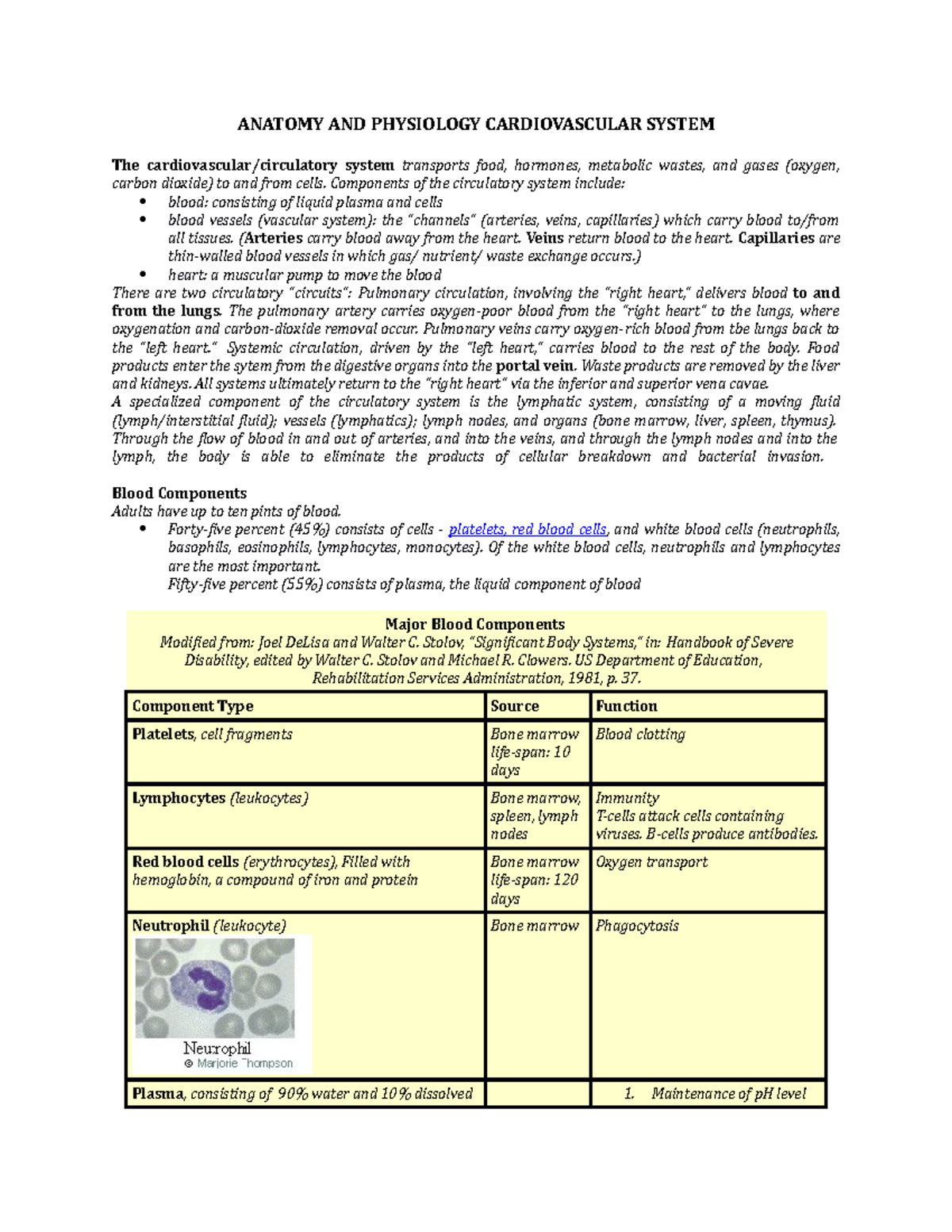 Anatomy AND Physiology Cardiovascular System - ANATOMY AND PHYSIOLOGY ...