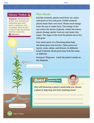 Activity Guide - Exploring One Column - Unit 9 Lesson 2 - Unit 9 Lesson ...