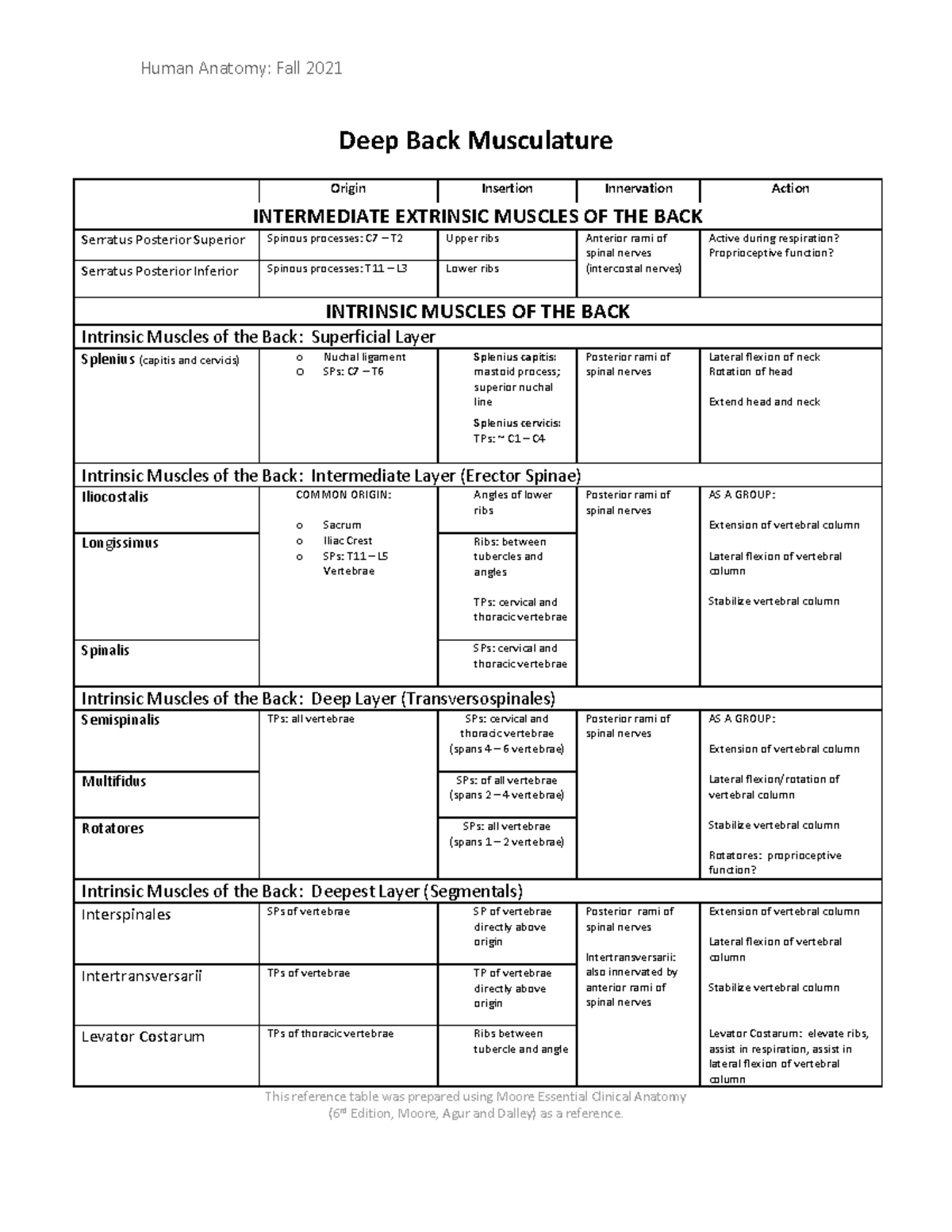Muscle Chart for Human Anatomy - Deep Back Musculature Origin Insertion ...