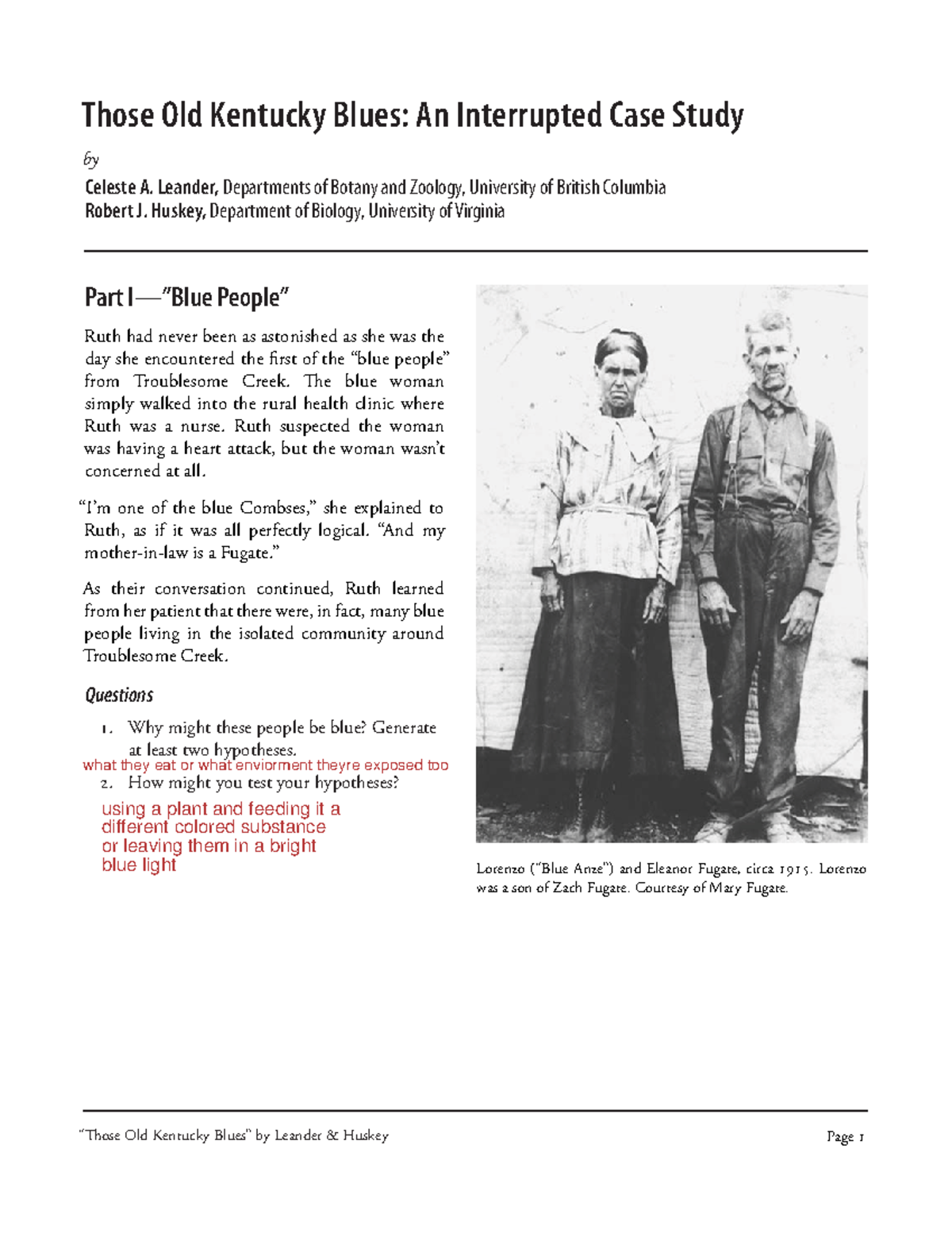 Kelly O'Brien - Kentucky Blue People Case Study Kentucky blue people ...