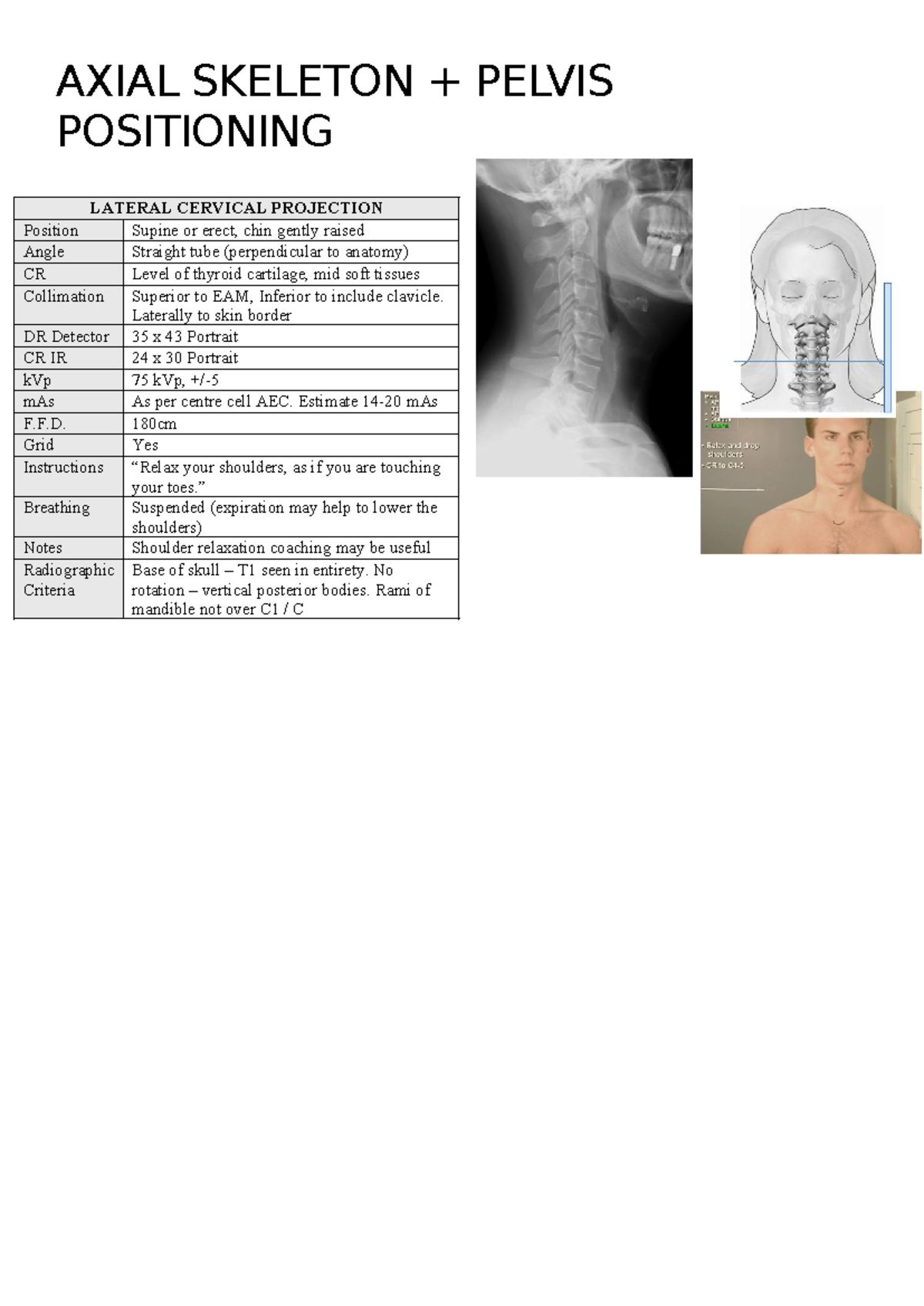 Axial Skeleton Positioning - AXIAL SKELETON + PELVIS POSITIONING ...