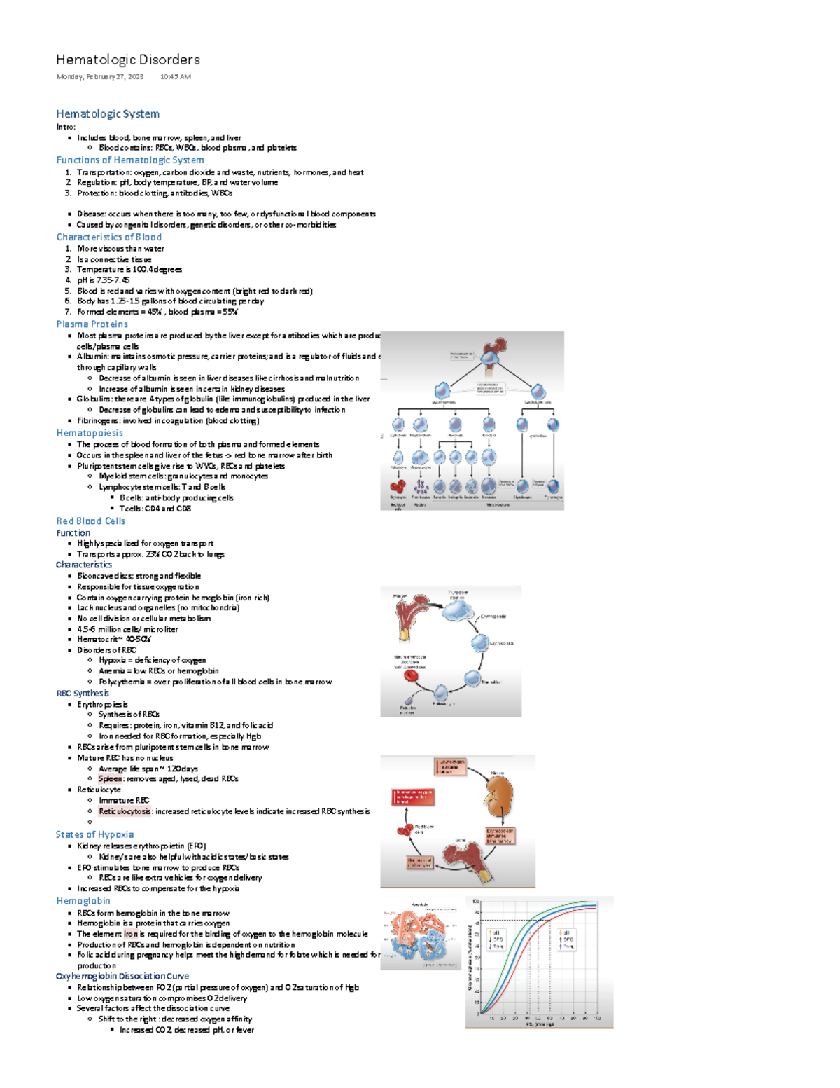 Blood Disorders - Hematologic System Intro: Includes blood, bone marrow ...
