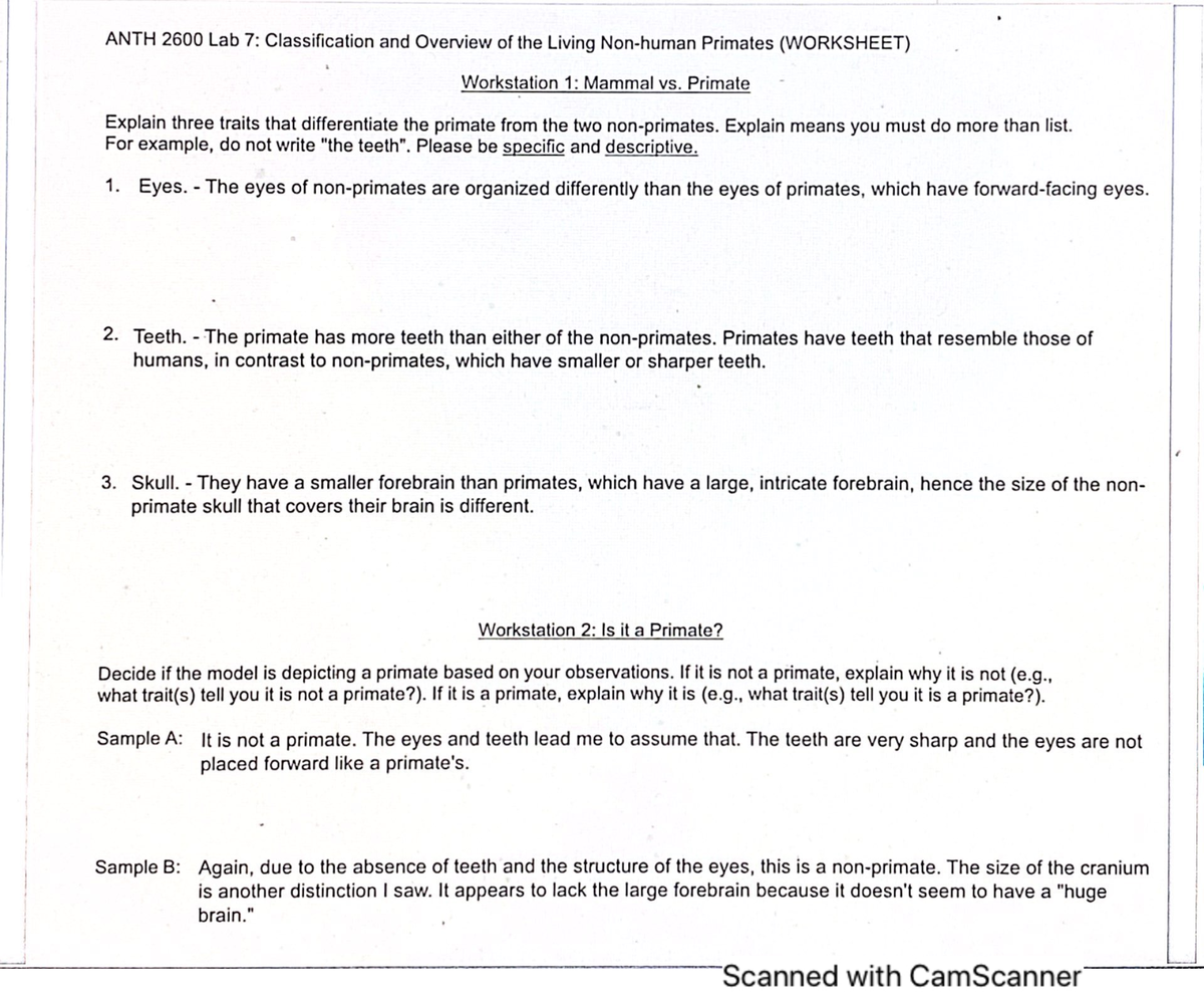 Lab 7 - Biological Anthropology Lab work - ANTH 2600 - Studocu
