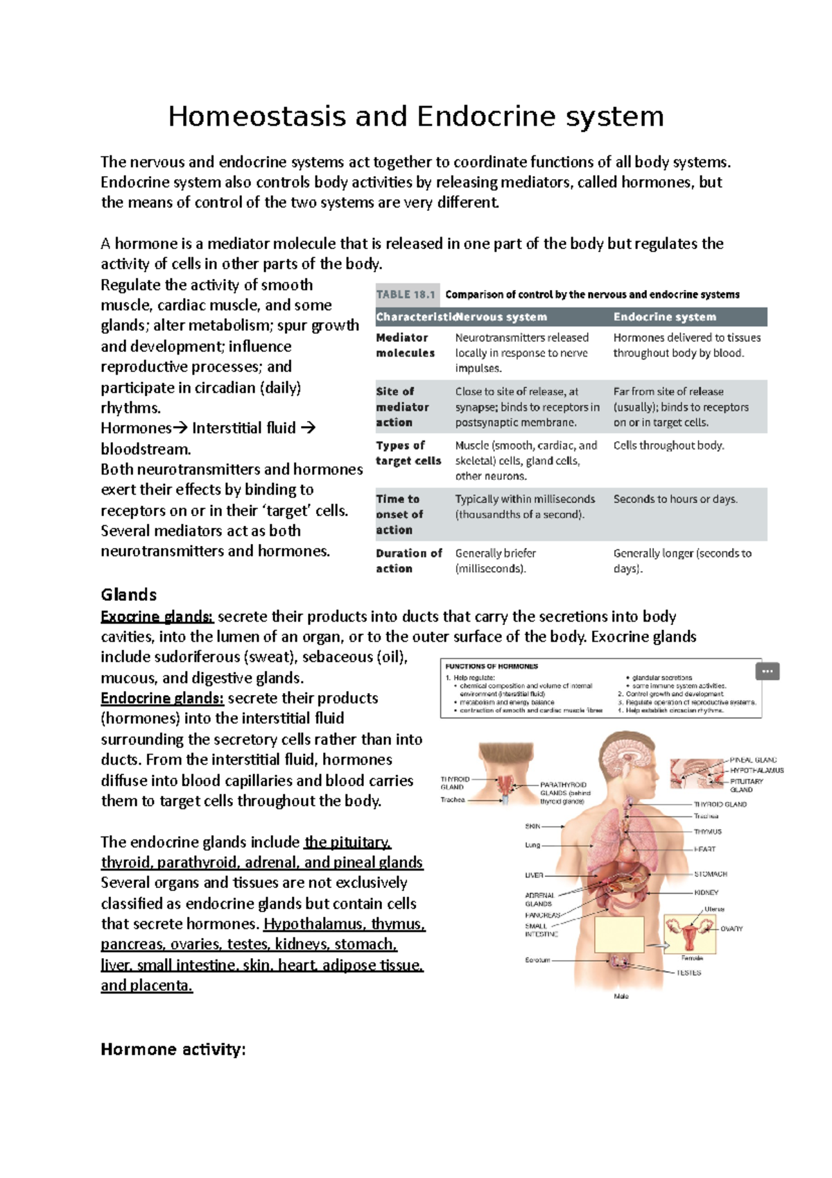 homeostasis and endocrine system lecture notes - Homeostasis and ...