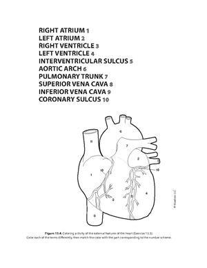 Lab19-Male Repo-Worksheet - W O R K S H E E T : L A B O R A T O R Y 1 9 ...