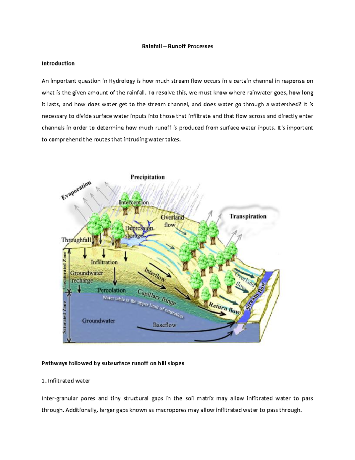Student 29 Rainfall-Runoff processes - Rainfall – Runoff Processes ...