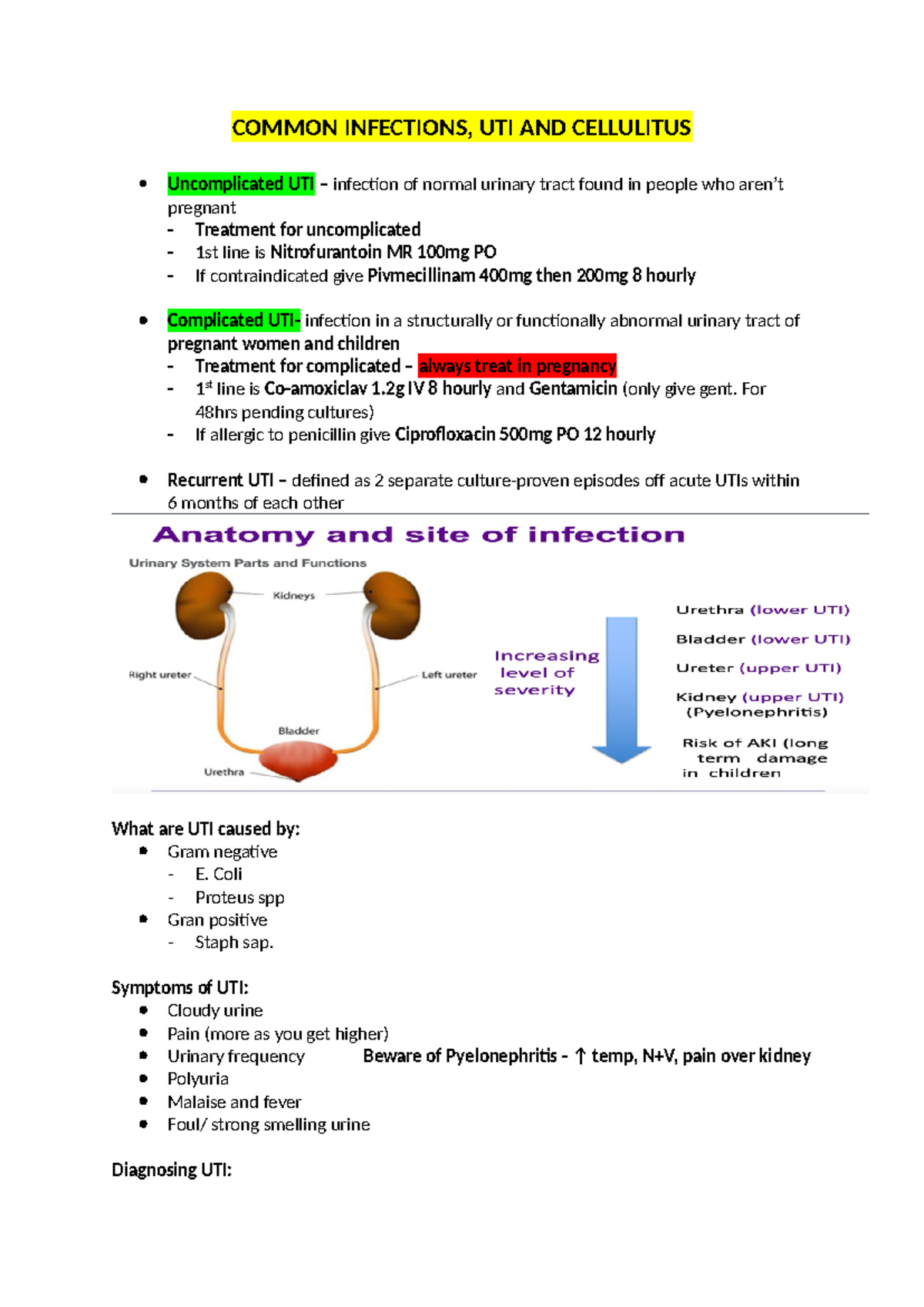 Common Infections, UTI and Cellulitus - COMMON INFECTIONS, UTI AND ...