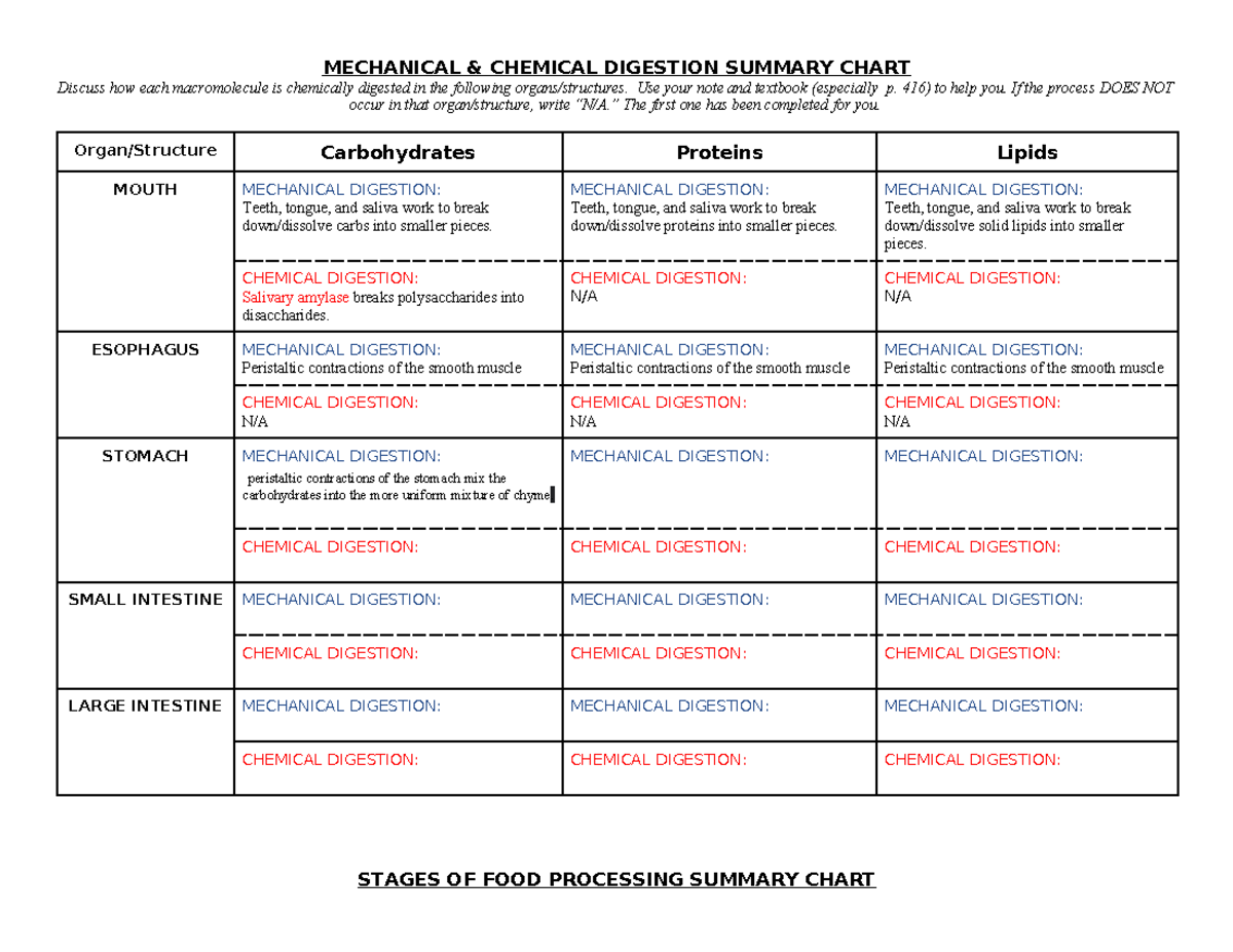 3b - Digestion Summary Charts - MECHANICAL & CHEMICAL DIGESTION SUMMARY ...