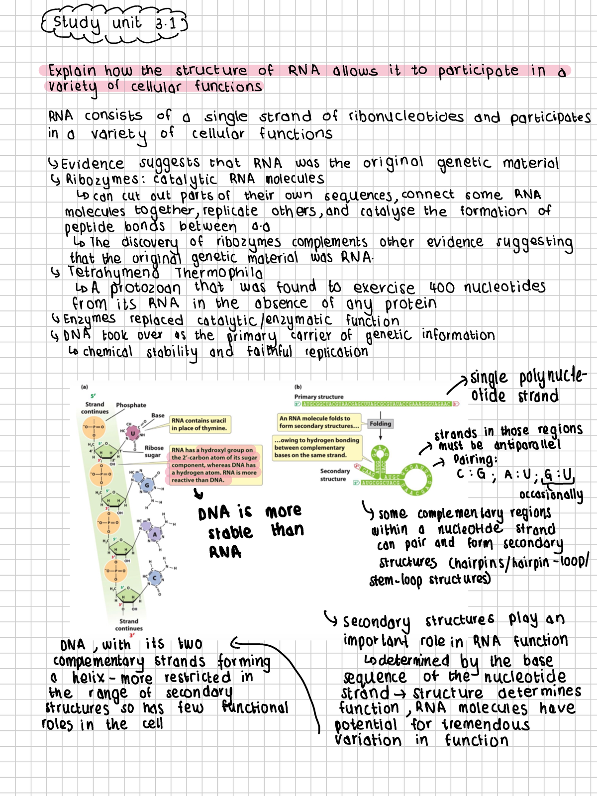 GTS 251 SU3 - Summary Genetics - GTS 251 - Studocu