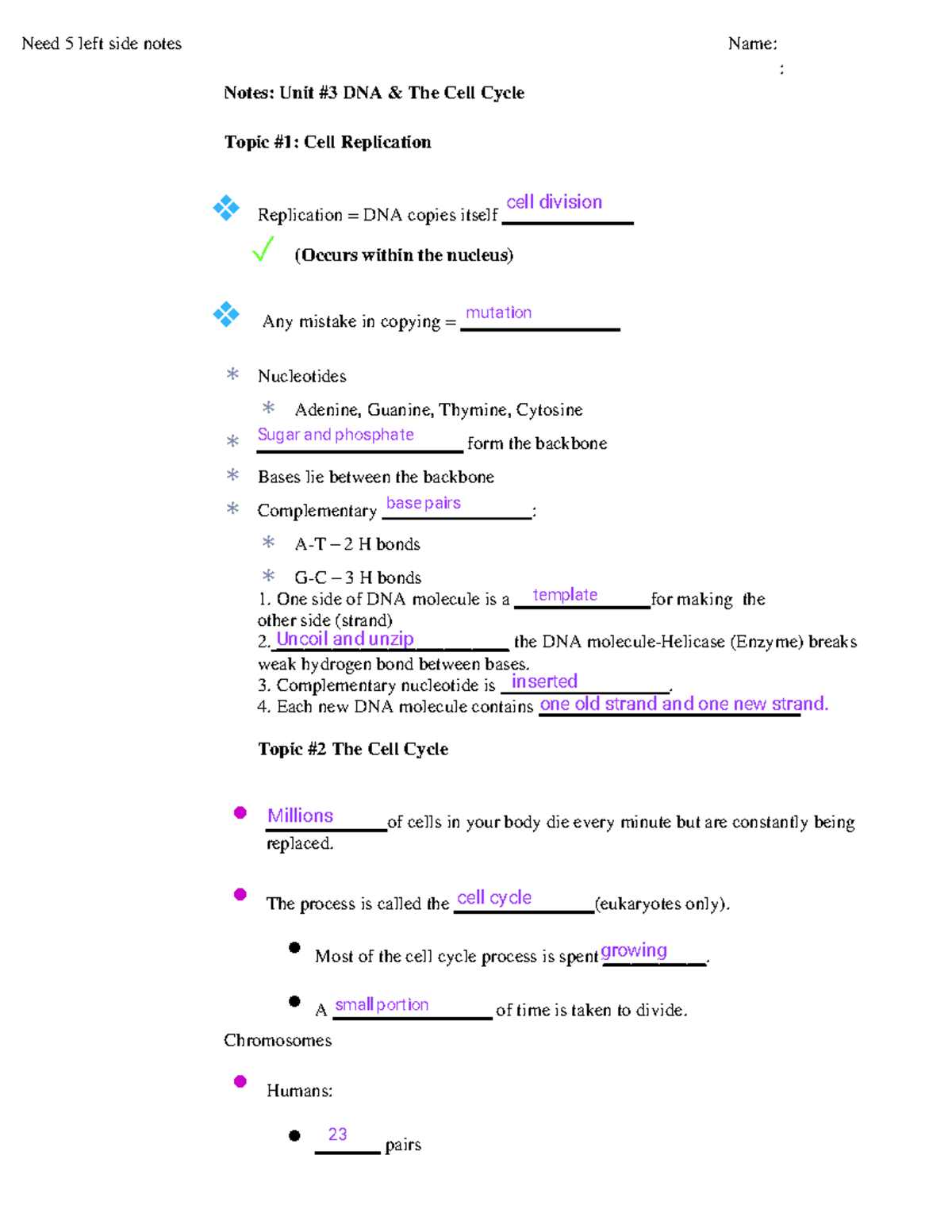 Kami Export - DNA and cell Cycle Note- Fill In - Need 5 left side notes ...