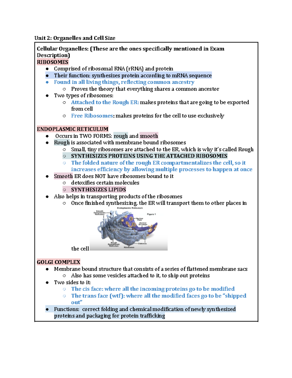 Unit 2 Organelles and Cell Size - Unit 2: Organelles and Cell Size ...