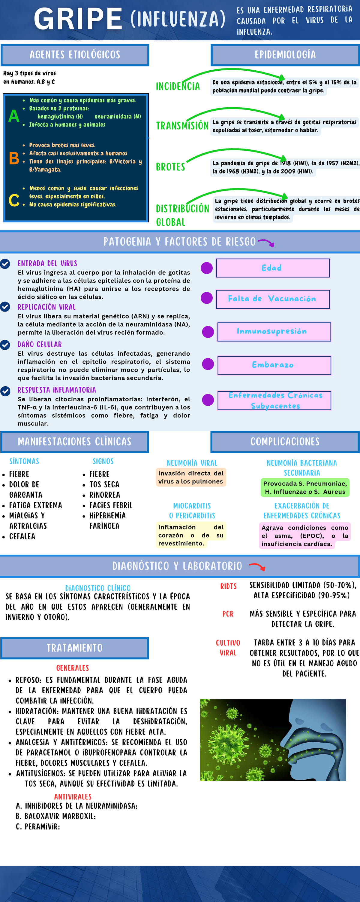 Infografia Gripe - PATOGENIA Y FACTORES DE RIESGO AGENTES ETIOLÓGICOS ...