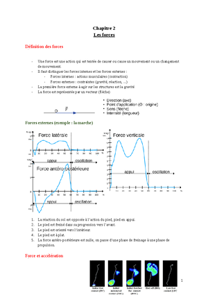 Chapitre 3 - bioméca - Leviers Type des leviers 3 types de levier en ...