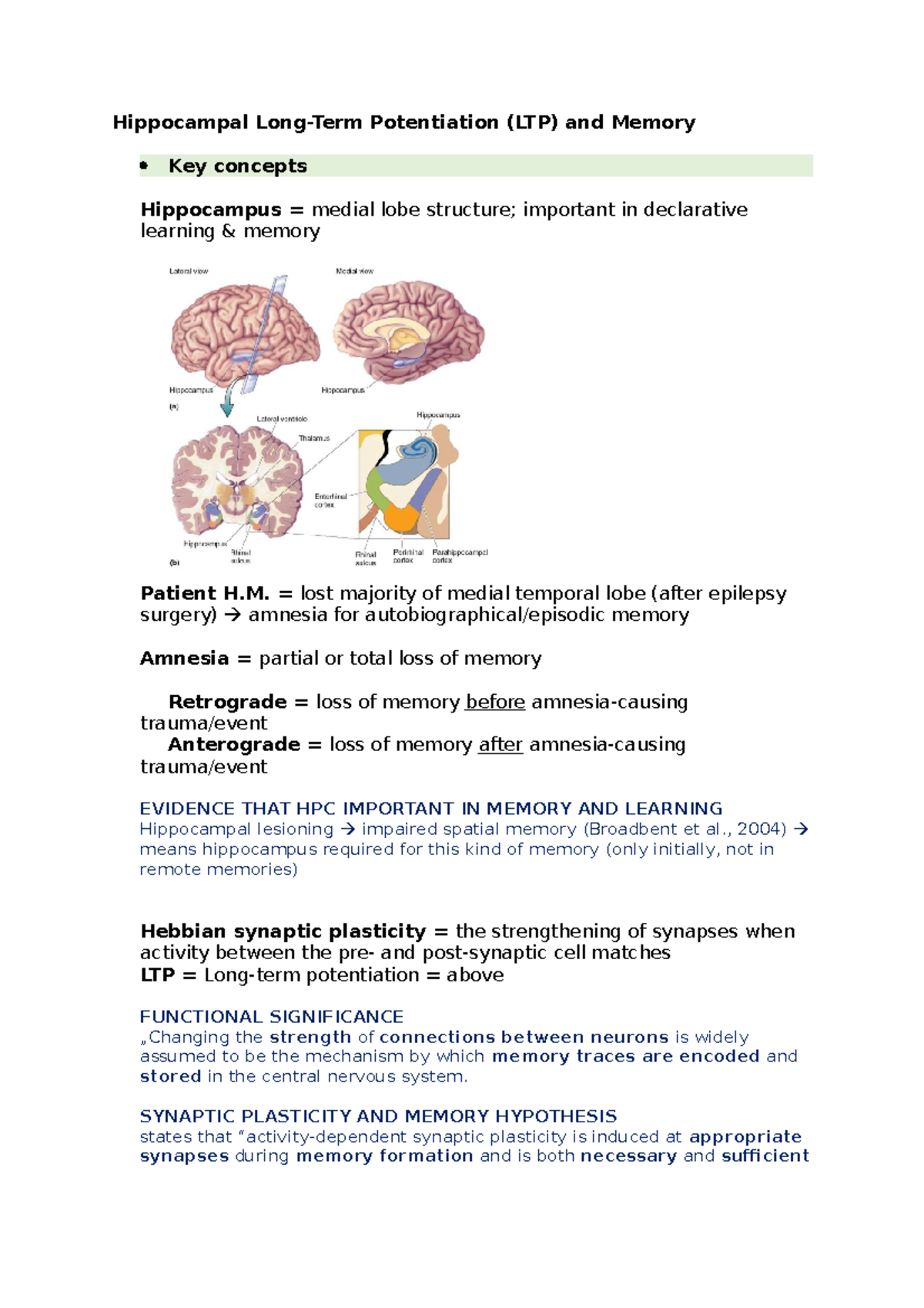 L4 Hippocampal LTP - Lecture by Sam Cooke - Hippocampal Long-Term ...