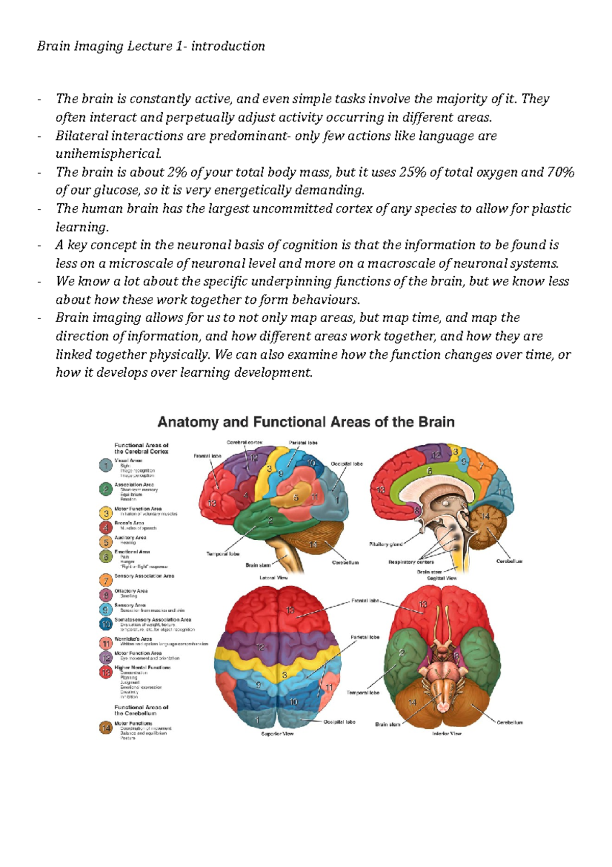 neuroimaging lecture notes - Brain Imaging Lecture 1- introduction ...