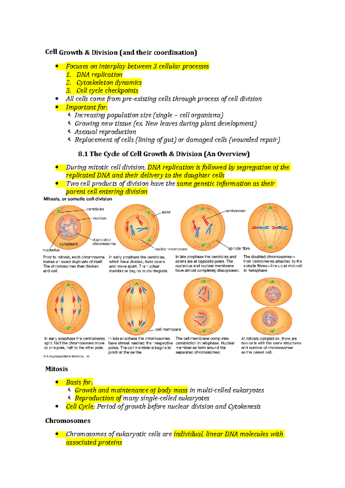 Week 7-8 - Week 7-8 Week Life Processes lecture notes - Cell Growth ...
