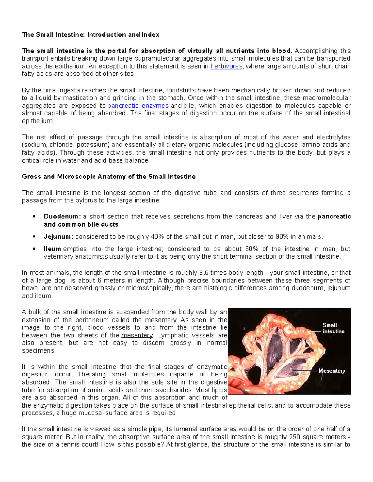 The Small Intestine - LECTURE NOTES FOR COLLEGE - The Small Intestine ...