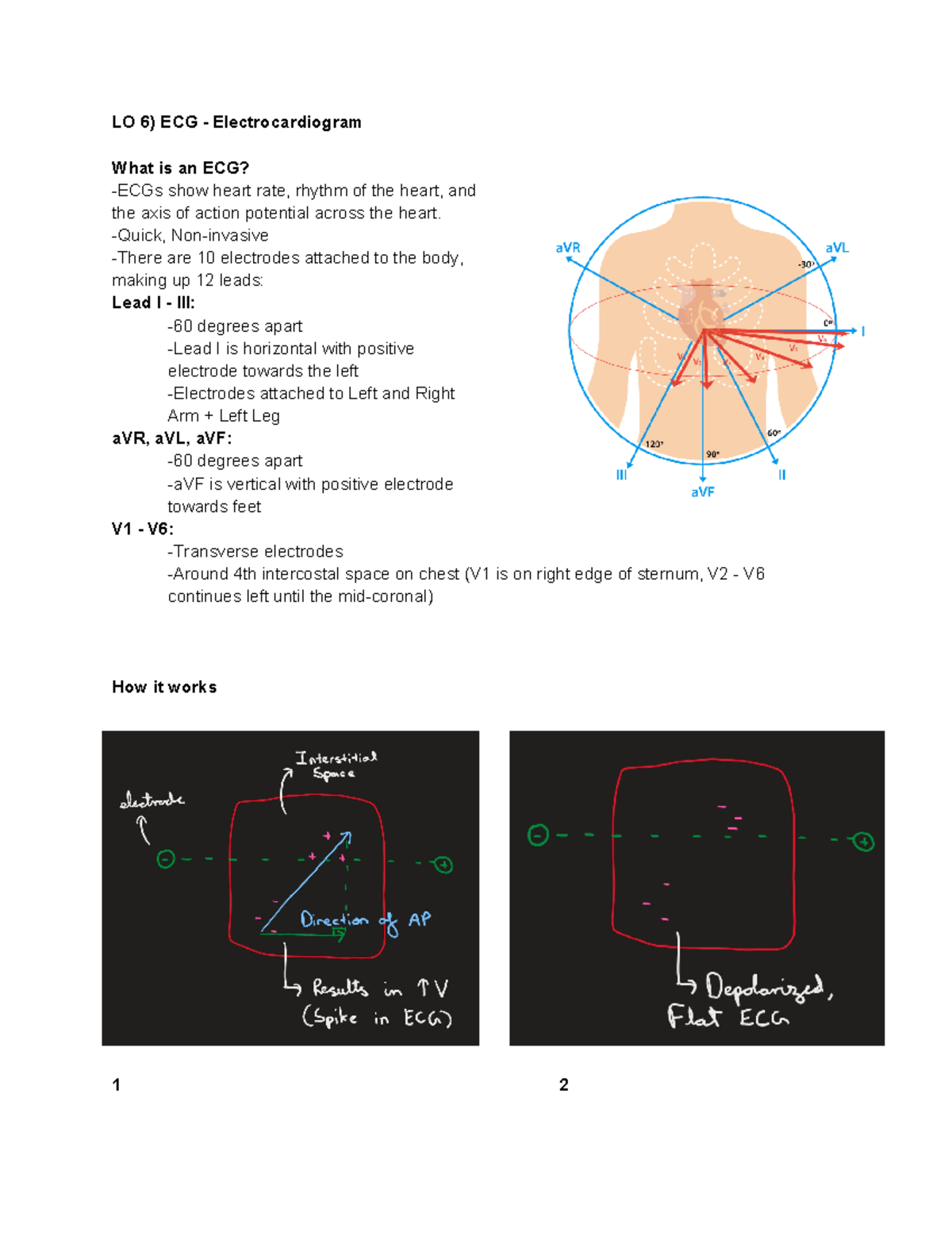 ECG - Basic explanation on how ECG's work, positioning of leads ...