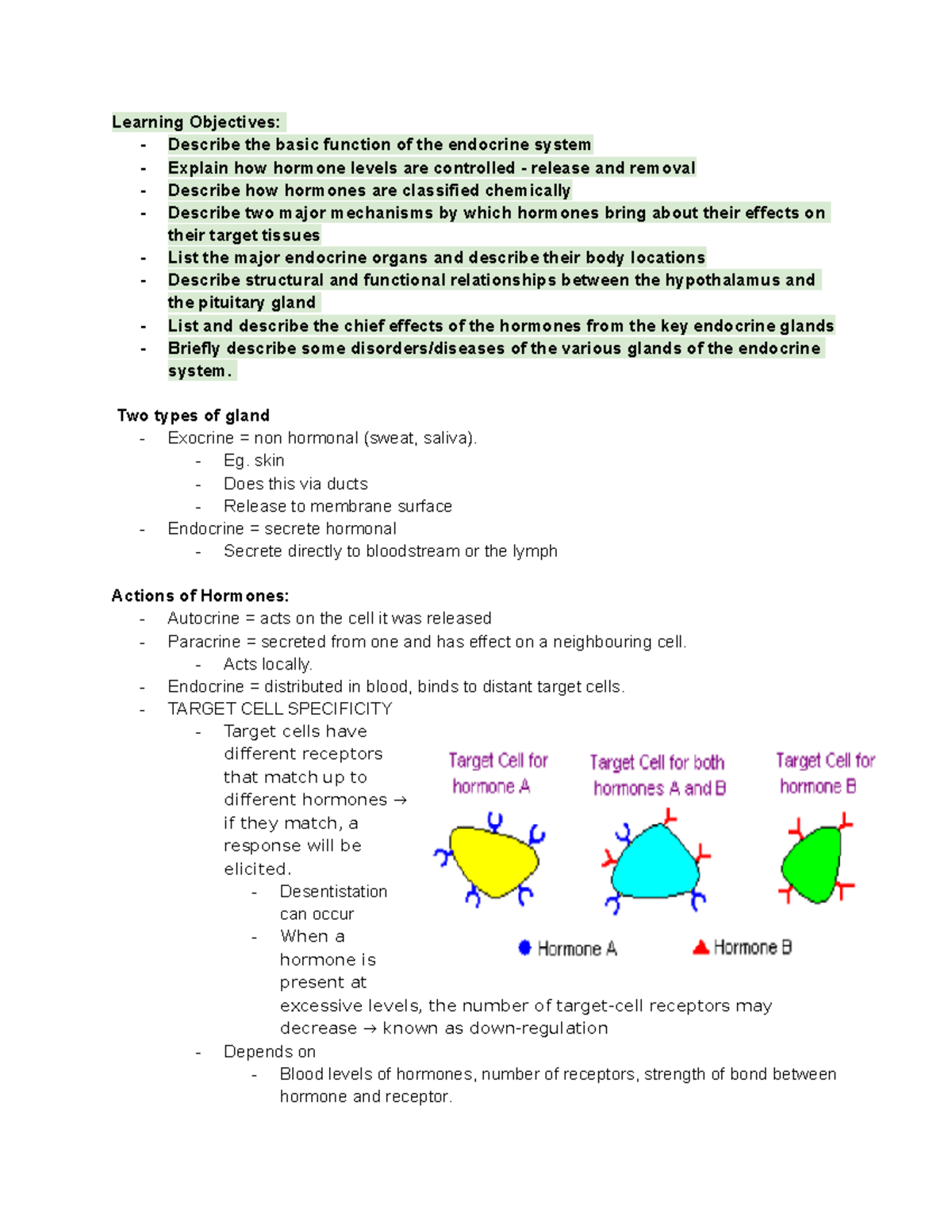 W1 + 2 - endocrine system - Learning Objectives: - Describe the basic ...