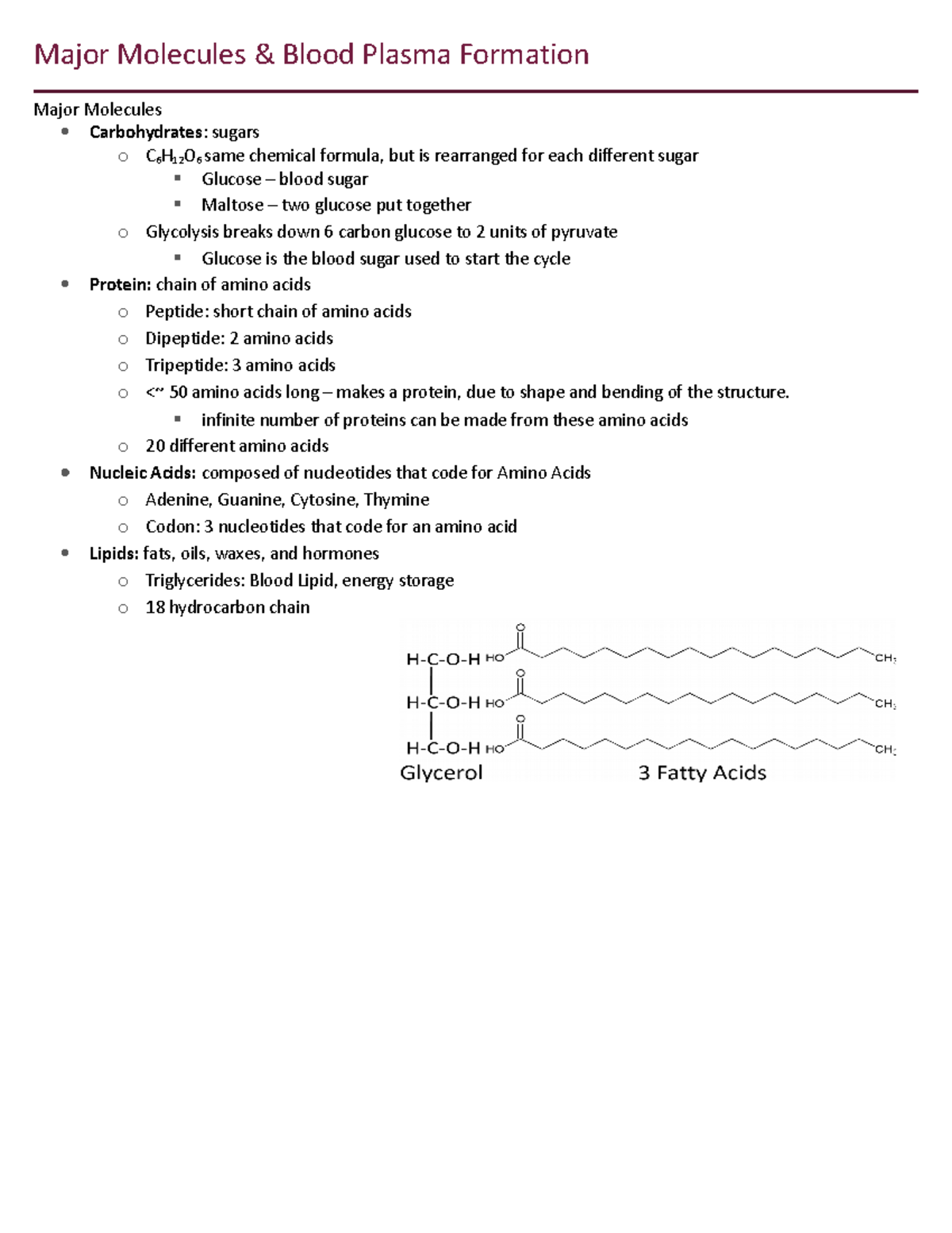 Major Molecules - infinite number of proteins can be made from these ...
