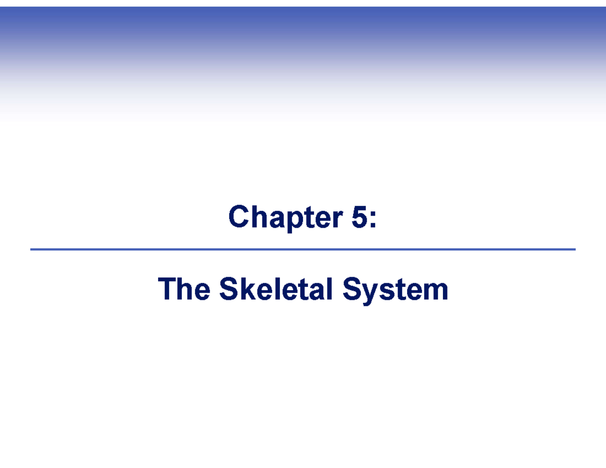 Chapter 5 Skeletal System - Chapter 5: The Skeletal System The Skeletal ...