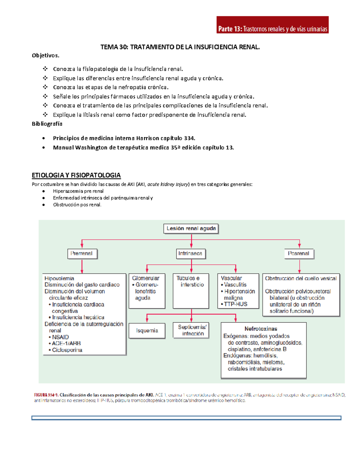 TEMA 30 - Tratamiento DE LA Insuficiencia Renal - Warning: TT: undefined function: 32 Warning ...