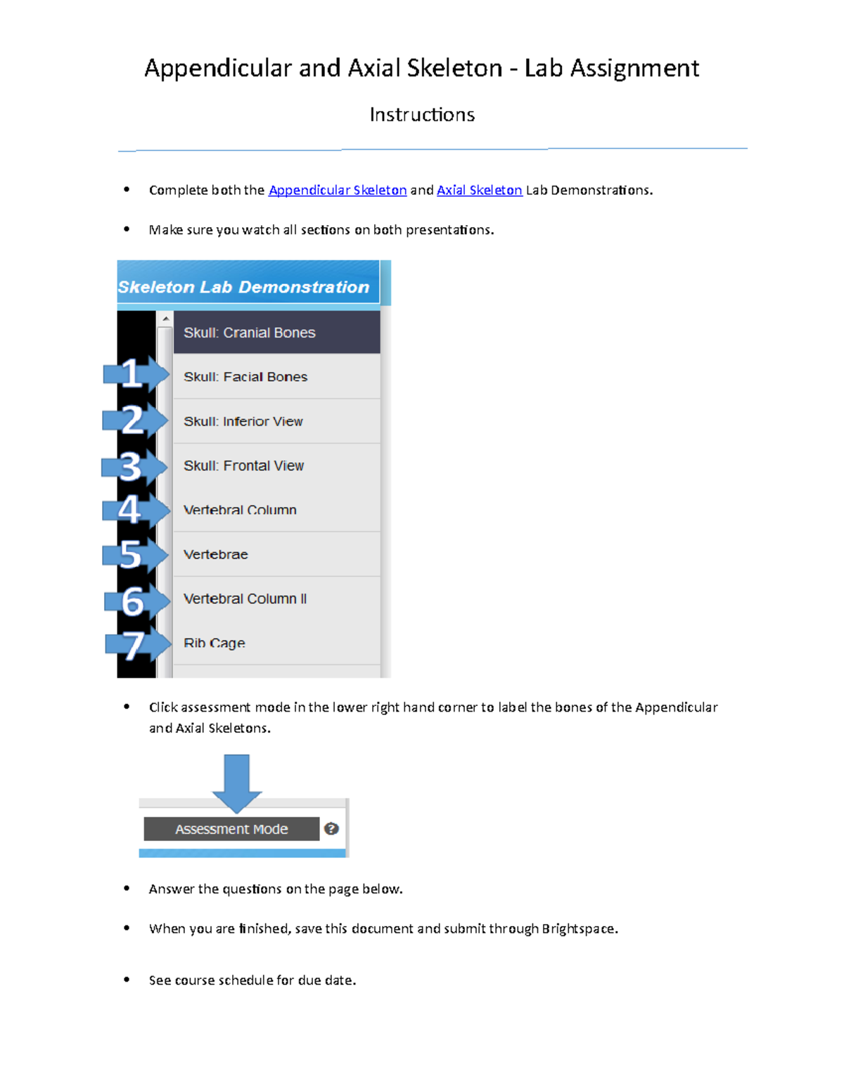Appendicular and Axial Skeleton Lab Assignment - Instructions Complete both the Appendicular ...