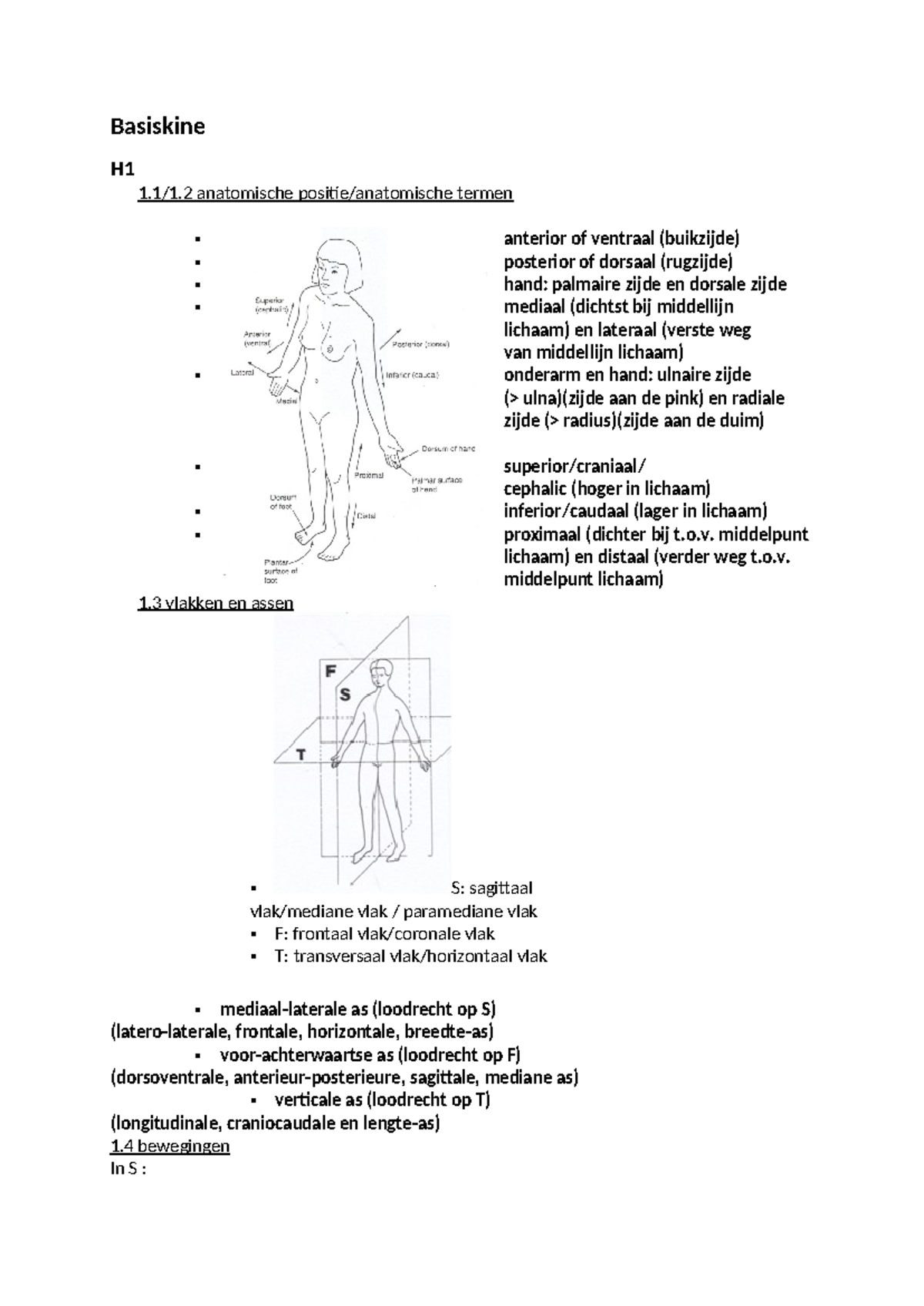 les vlakken bk1 - Basiskine H 1.1/1 anatomische positie/anatomische ...