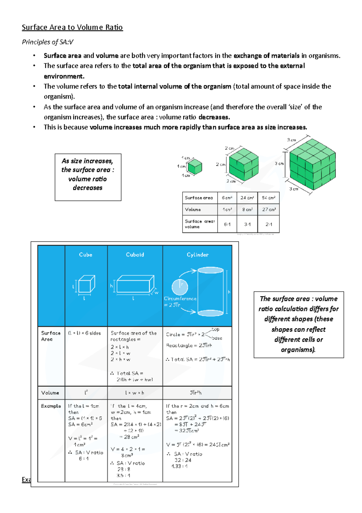 Surface Area to Volume Ratio - Surface Area to Volume Ratio Principles ...