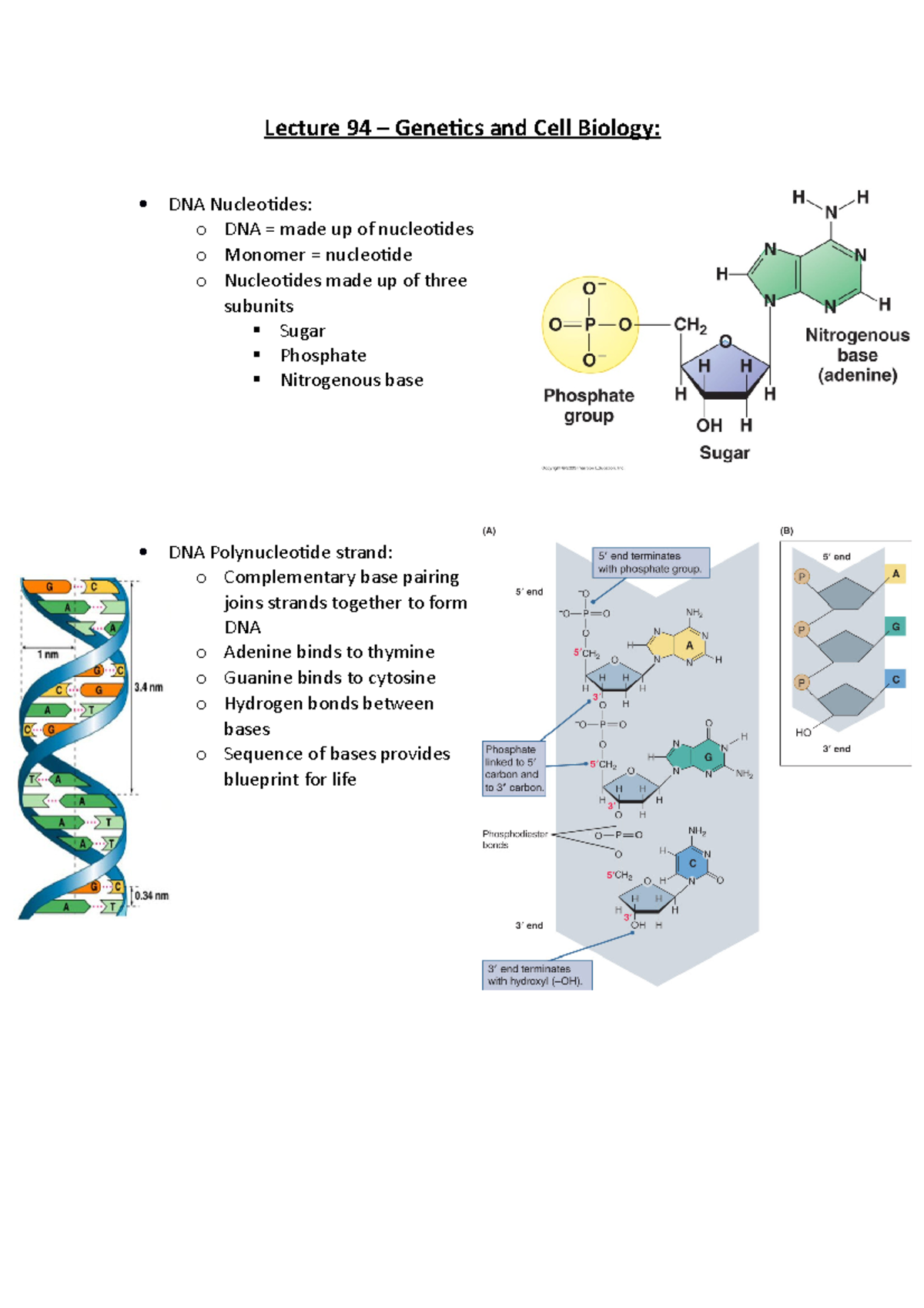 Lecture 94 – Genetics and Cell Biology - Lecture 94 – Genetics and Cell ...
