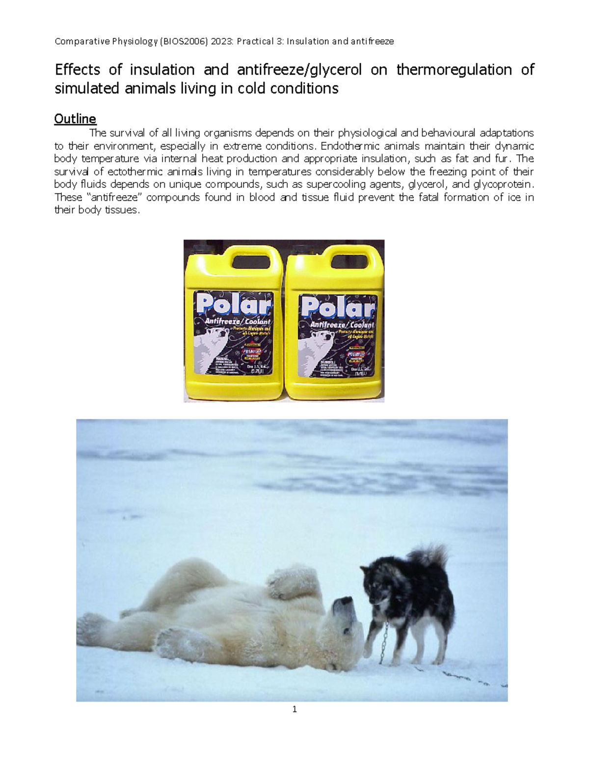 Practical 3 Effects of insulation and antifreeze 2023 - Effects of ...