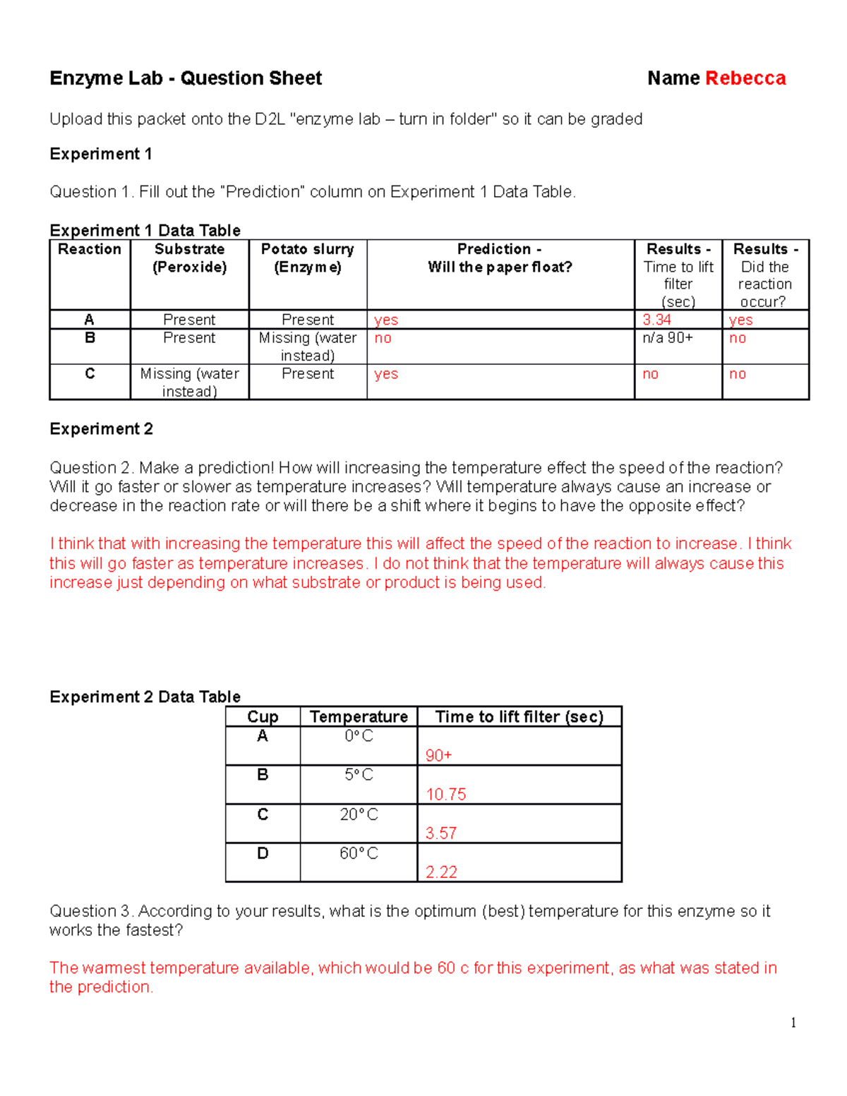 Lab Enzymes - Questions - Enzyme Lab - Question Sheet Name Rebecca ...