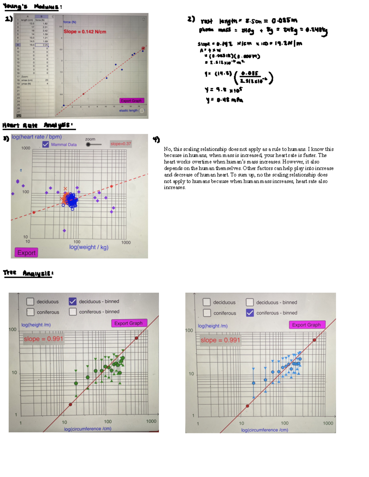 Young's Modulus - Lab - No, this scaling relationship does not apply as a rule to humans. I know ...