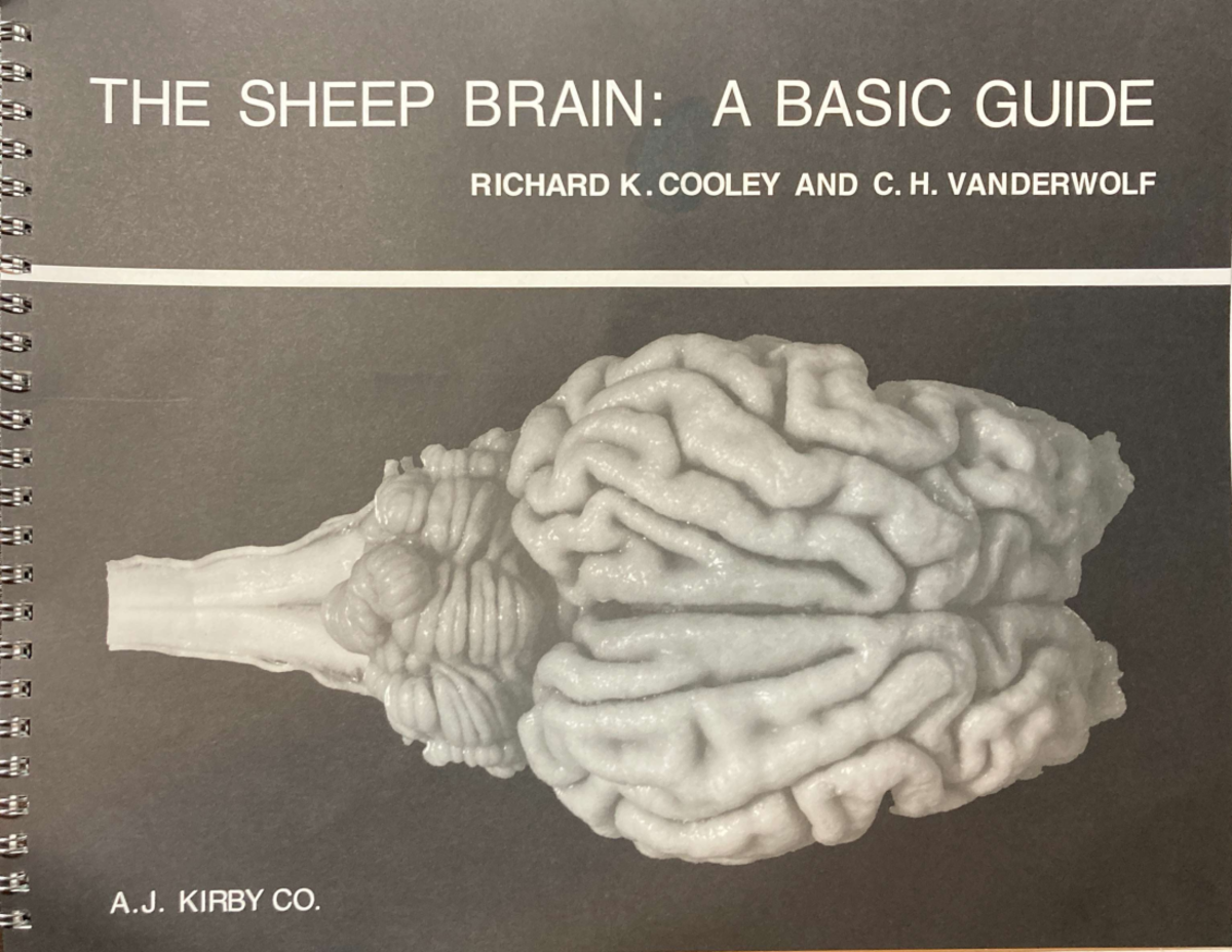Sheep Brain Guide - THE SHEEP BRAIN: A BASIC GUIDE RICHARD K. COOLEY ...