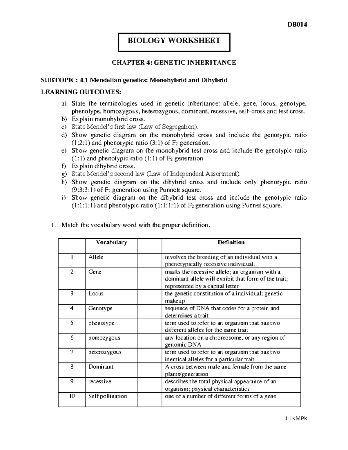 BIO TWO SES Chapter 4 - Lecture Worksheet - CHAPTER 4: GENETIC ...