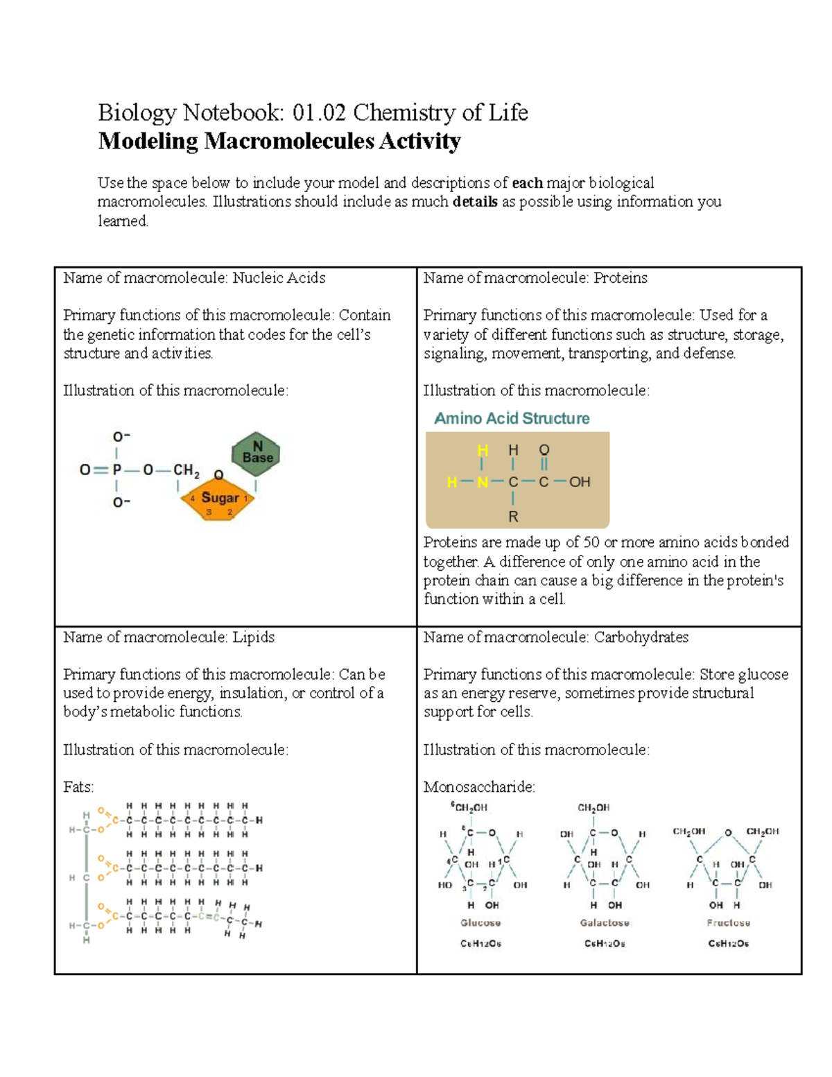 01.02 bio assignment - Biology Notebook: 01 Chemistry of Life Modeling ...