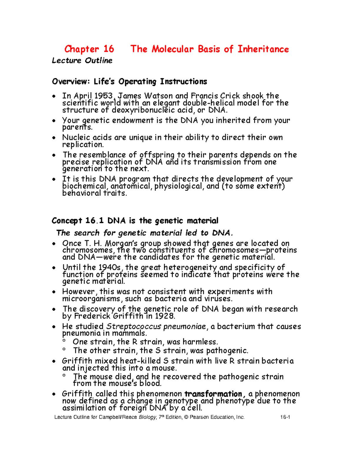 Chapter 16 textbook notes - Chapter 16 The Molecular Basis of ...